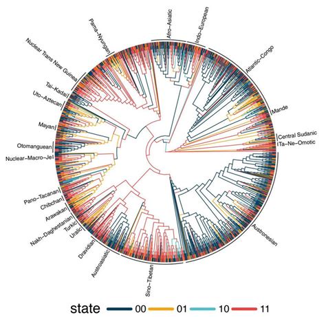 Enduring Patterns In Worlds Languages One Third Of Grammatical Universals Stand Up To
