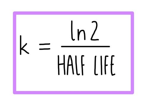Rate Constant And Orders Of Reaction — The Science Sauce