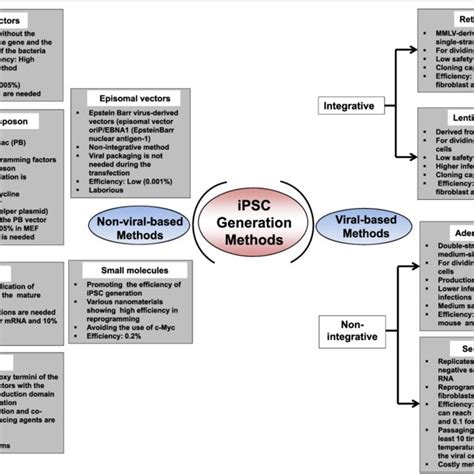Generation Of Ipscs From Various Somatic Cells Ipsc Generation Carried Download Scientific