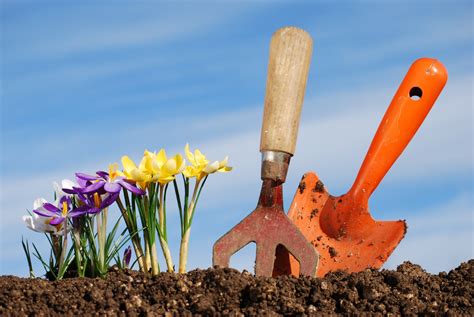 Kintore And District Community Council Explore Kintore Climate And Nature Friendly Communities