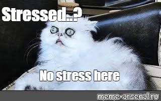 Meme Stressed No Stress Here All Templates Meme