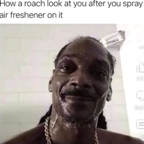 Weed Roach Memes 𝓐𝓷𝓰𝓮𝓵🪽 On X You Hitting The Roach