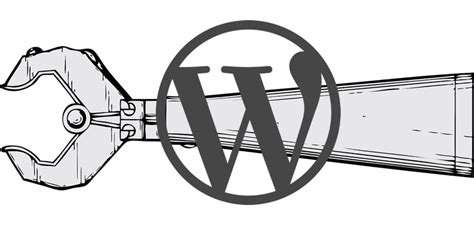 Wordpress —command Line Tool Wp Cli By Lemon Kazi Oceanize Lab Geeks Medium