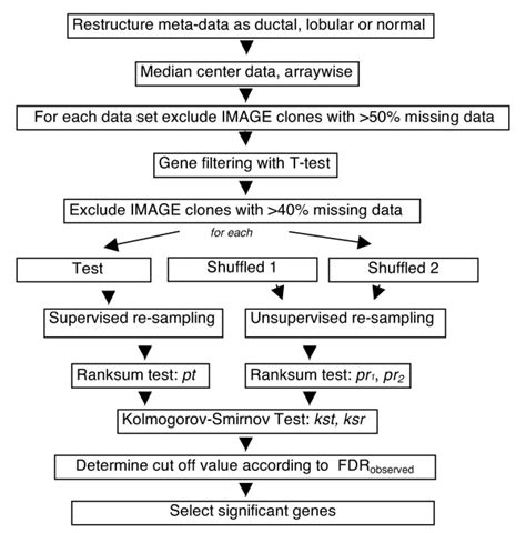 General Meta Analysis Scheme Workflow Is Represented By Boxes And