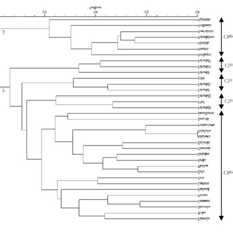 dendrogram resulting from upgma cluster analysis of 35 rice genotypes