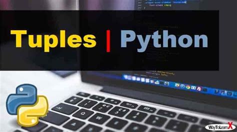 Les Tuples En Python WayToLearnX