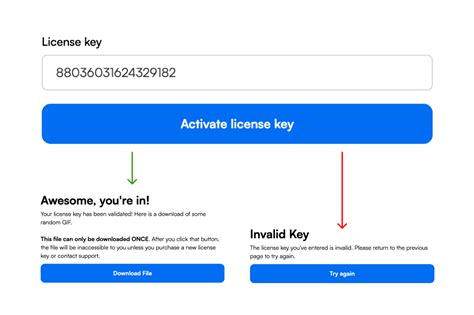 License Key Life Time License Key Up To 2 Simultaneous Screens