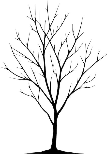 Premium Vector Minimal Naked Tree Silhouette Vector Silhouette Black Color Silhouette White