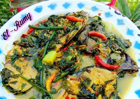 Resep Gulai Ikan Cakalang Mix Sayur Pakis Oleh Caelan El Rumy Cookpad