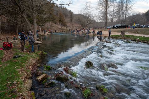 Dora Historian Ozarks Pleasant Mound 1950 51 Burnice Hicks Riley
