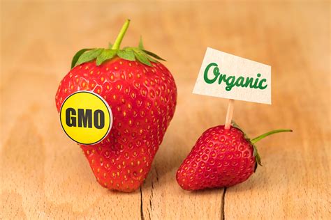 What Is Gmo And Non Gmo Differences And Benefits Explained