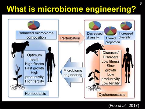 Ajayasree T S Seminar Ppt Microbiome Engineering Pptx