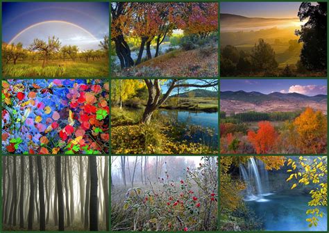Collage Fotos Naturaleza Gil Pellin Cecal