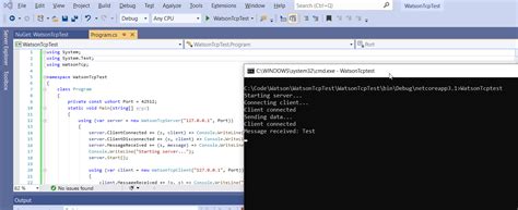 Project Not Working On Linux Issue Dotnet WatsonTcp GitHub