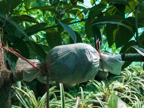 Page 7 Cloning Images Free Download On Freepik