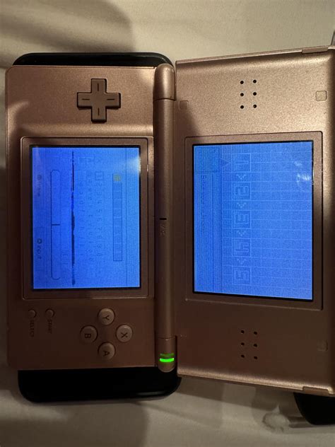 Anybody Know Whats Wrong With This Ds Lite Rnintendods