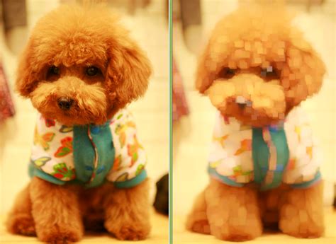 数字图像处理（二）图像数字化 知乎