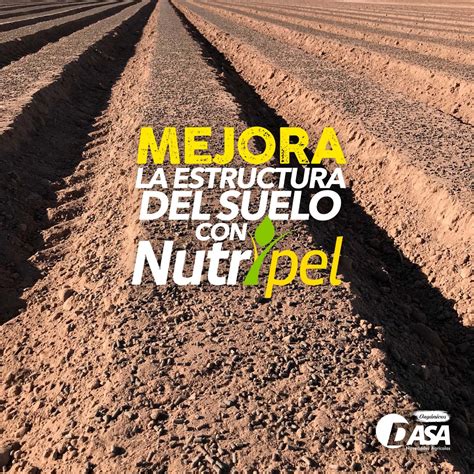 Nutripel Fertilizante Orgánico Peletizado Web Novedades Agricolas Dasa