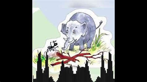 ჭიანჭველა დაეჯახა სპილოს An Ant Hit An Elephant Youtube