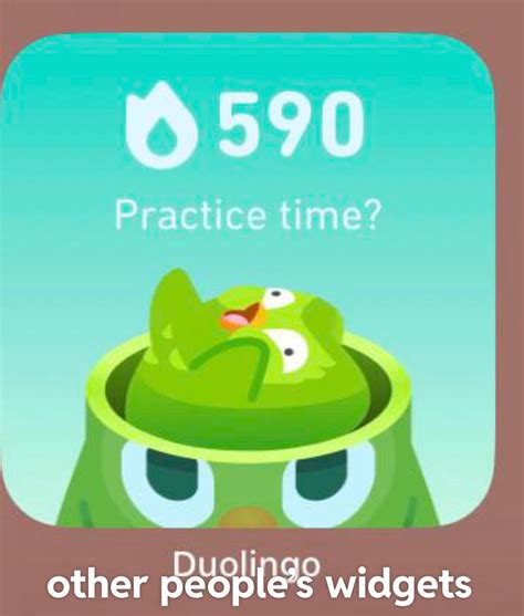 Why Are My Duolingo Widgets More Basic Than Others R Duolingo