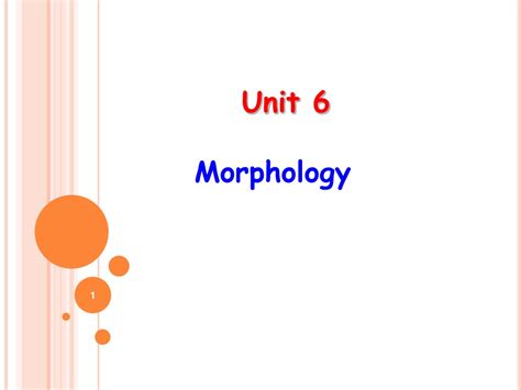 PPT Exploring Morphology Words And Units In Linguistics PowerPoint Presentation ID