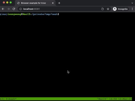 Trzsz Js 中文文档 Trzsz
