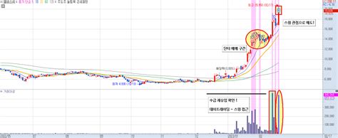 셀바스ai 대장 교체 스윙 매매 관점 공유 수급 포착 Soms의 주식투자
