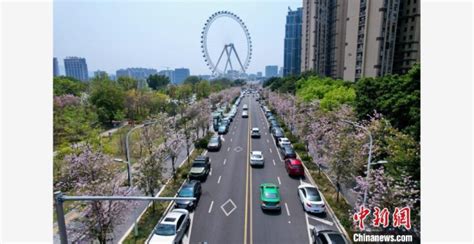 遇见福建春景宜人 繁花盛开 腾讯新闻