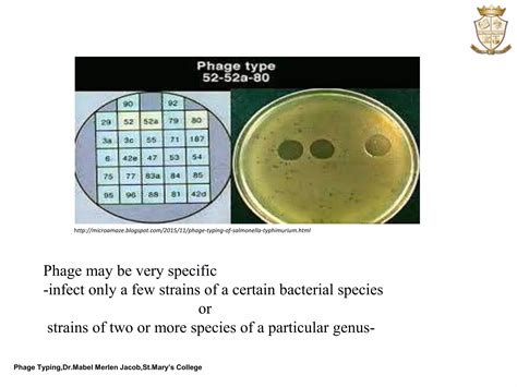 Microbiology Phage Typing Pptx