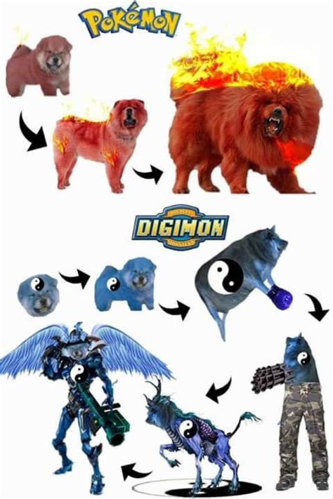 Pokemon Digimon Meme Pokemon Vs Digimon Debates In Nutshell By