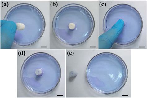 Excellent Pore Interconnectivity Of The Biomimetic Uhanws Col Porous Download Scientific