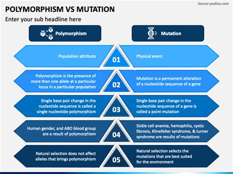 Polymorphism Vs Mutation PowerPoint And Google Slides Template PPT Slides