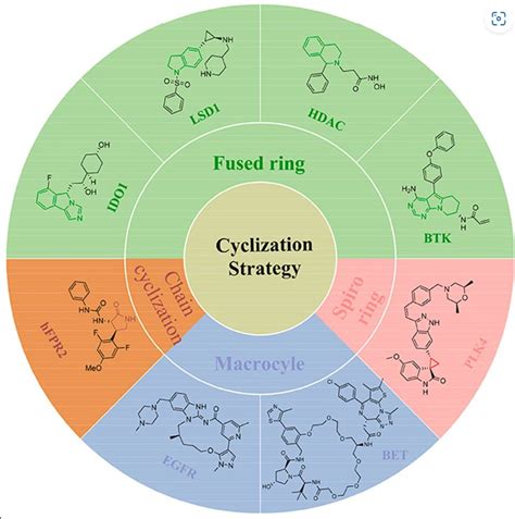 ´harnessing The Cyclization Strategy For New Drug Discovery´ By Tang Song Yu Et Al