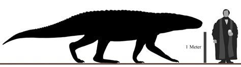 All About Barinasuchus
