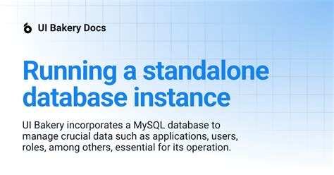 Running A Standalone Database Instance Ui Bakery Docs