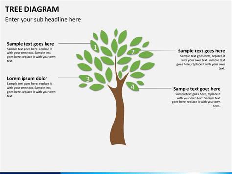 Tree Diagram Examples With Solutions Pdf