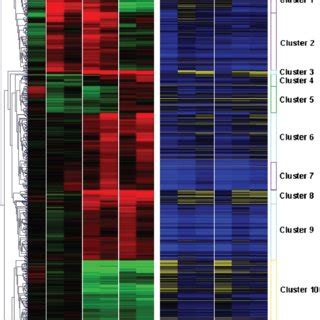 Hcl Analysis Of Candidate Genes Showing Significant Differential Download Scientific Diagram