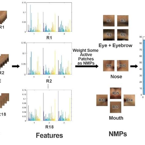 The Proposed Algorithm Framework Download Scientific Diagram