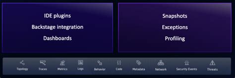 Dynatrace Observability For Developers With Real Time Data