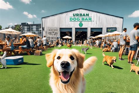Urban Dog Bar Nashvilles First Dog Park And Bar