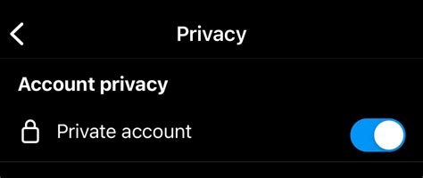 Priv Ne Demek En Güzel Instagram Priv Hesap Isimleri Donanımhaber
