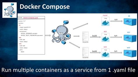 Unlocking The Power Of Docker A Developers Guide Dev Community