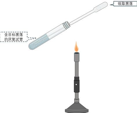 亨盖特厌氧滚管技术（hungate Anaerobic Roll Tube Technique）：原理、操作与应用指南 知乎