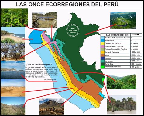 Ecorregiones Del Peru