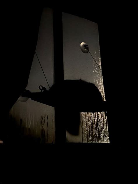 Kitty Sleeping To The Rain Kitty Cats Sleep