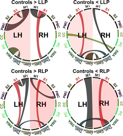 Circular Representation Of The Significantly Different Structural Download Scientific Diagram
