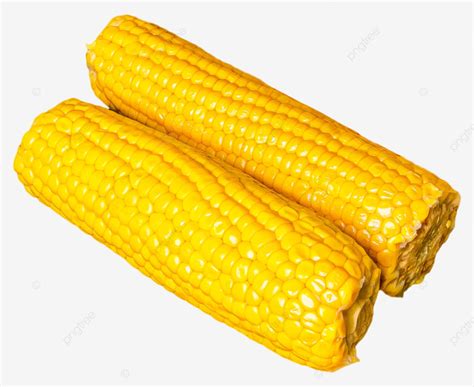 Cereals Coarse Grains Sweet Corn Crops Corn Food Yellow Png