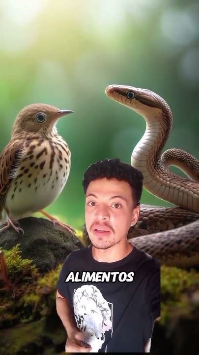 O Lugar Mais Perigoso Do Mundo Youtube