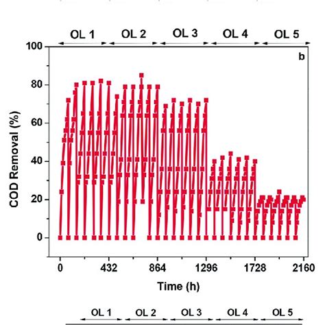 A Anodic Biomass And Bacteriochlorophyll B Cod Removal And Download Scientific