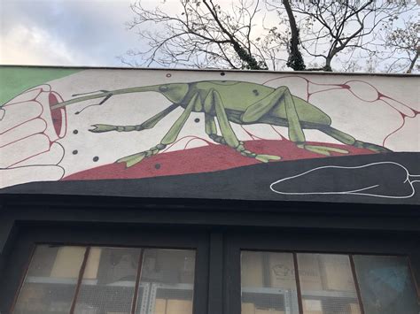 Amazing Weevil Art In Vienna Near Brunnenmarkt Rweeviltime